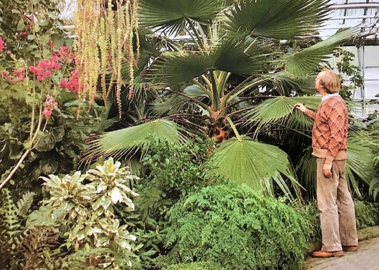 Van Kijk, Speel & Doe naar Hardgaan - Parkplanet